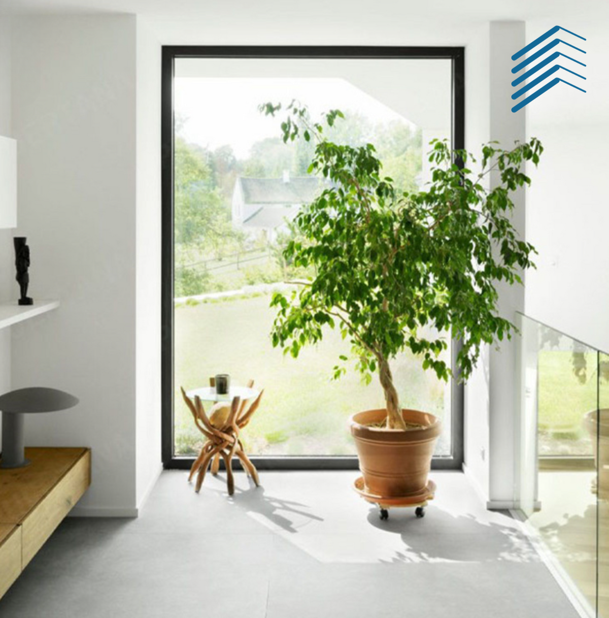 Bottom Fixed Windows — Covington Material & Supply Co